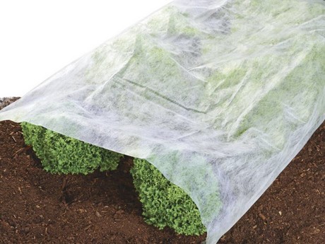 The proper use of garden fleece - Dig It Right | Dig It Right