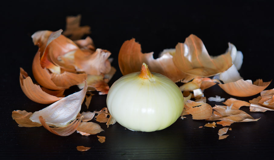 Onion peelings can also be used as compost material - Dig It Right ...
